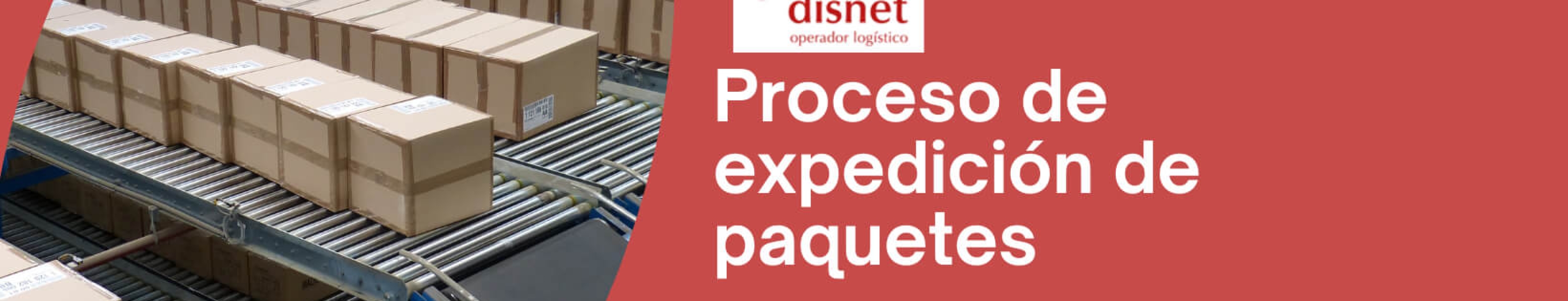 Proceso de expedición de paquetes - DISNET